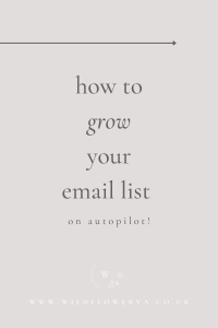 How To Use Pinterest to Grow Your Email List
